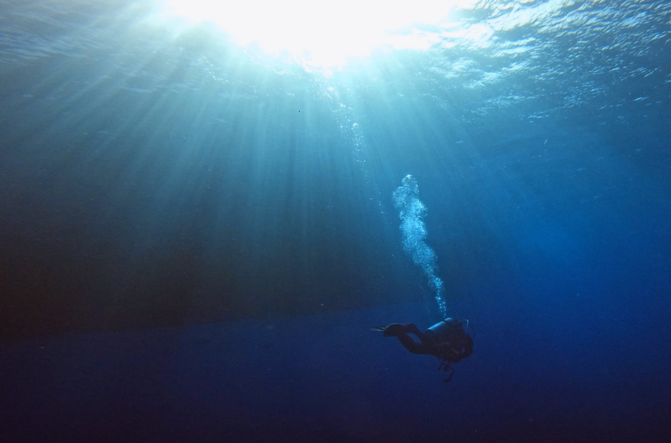 Doctor Dive - TripSportMag