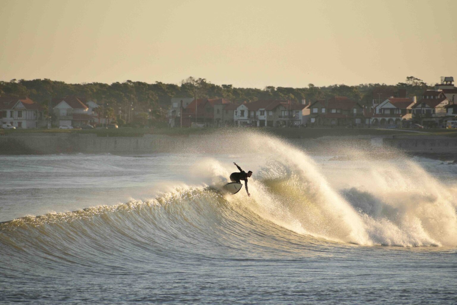 10 Consejos para principiantes del Surf - TripSportMag